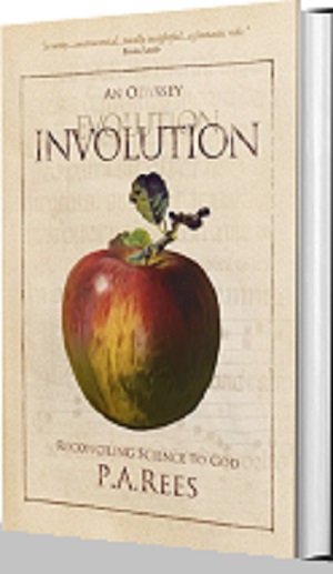 INVOLUTION: Science and God: Reality Redefined – Co-creation through ...